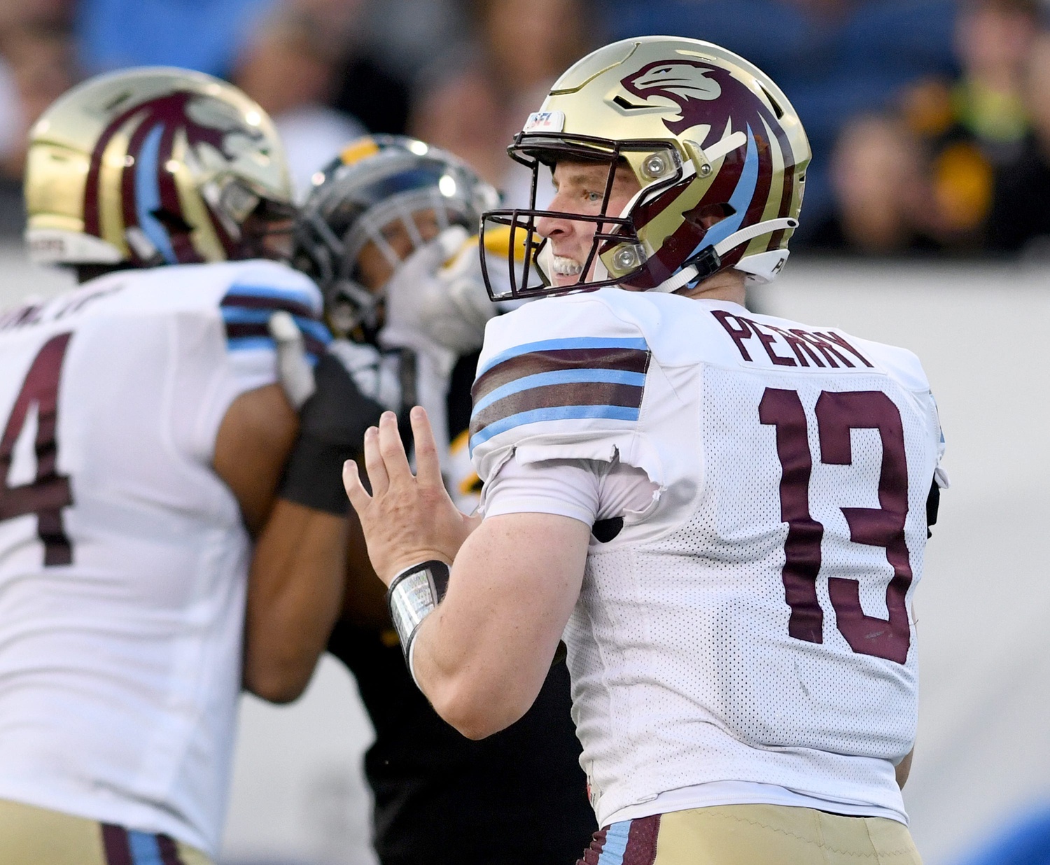 Get to Know The 2024 UFL Michigan Panthers - LWOSports