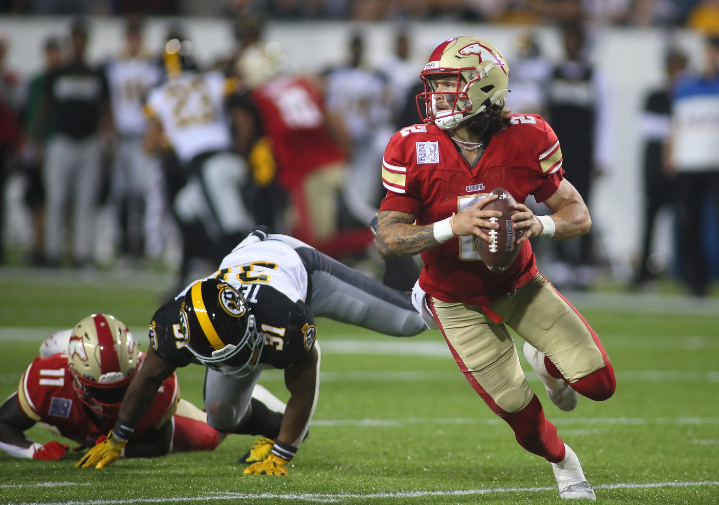 Get to Know The UFL 2024 Birmingham Stallions – LWOSports